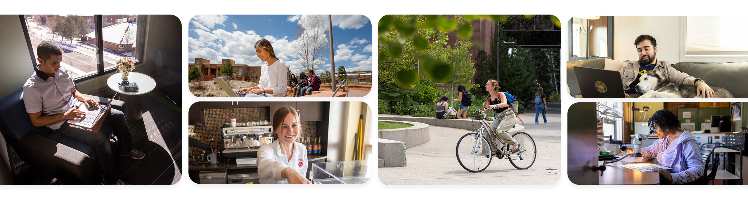 in.nau.edu | Northern Arizona University