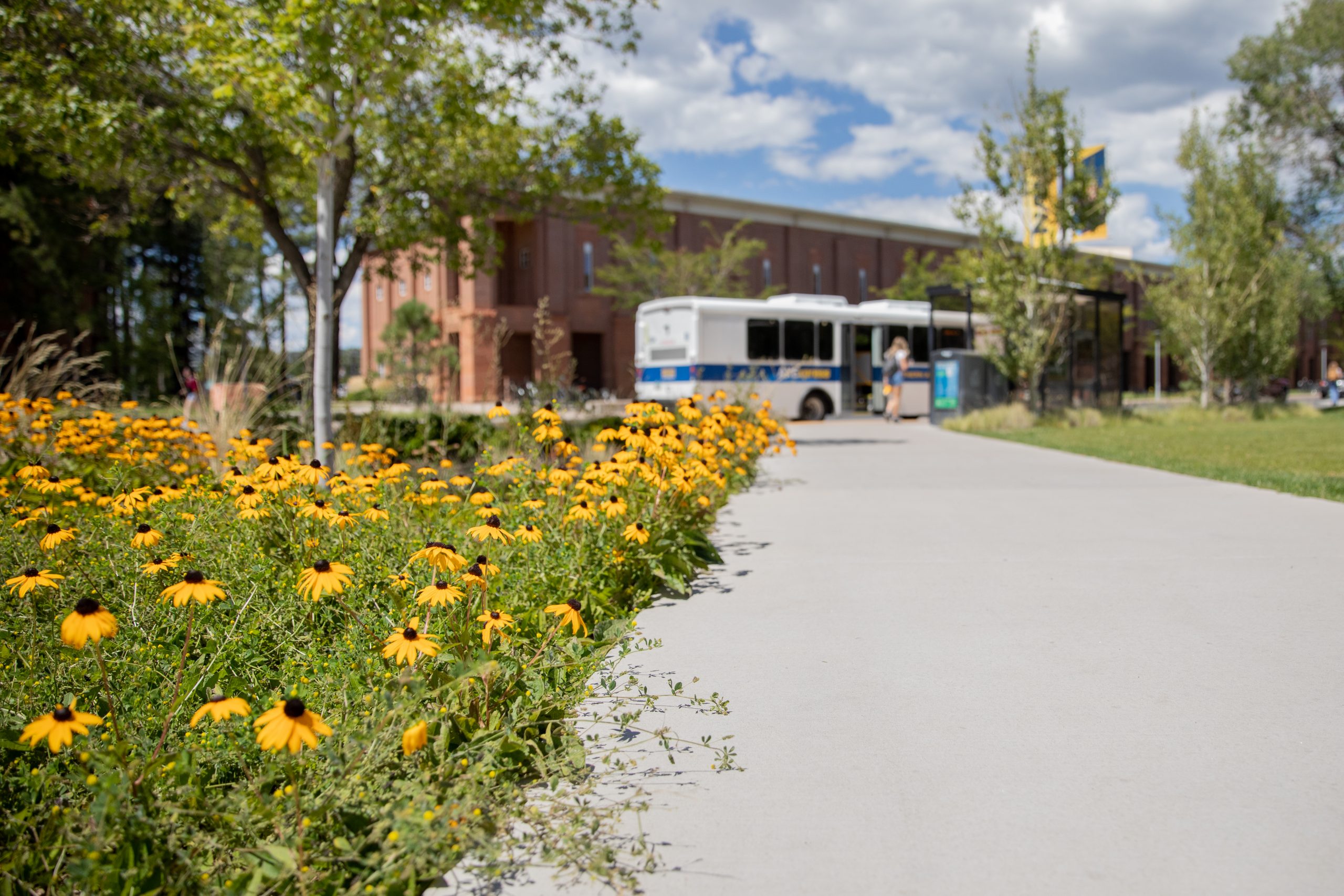 Faculty Showcase | Teaching and Learning Center