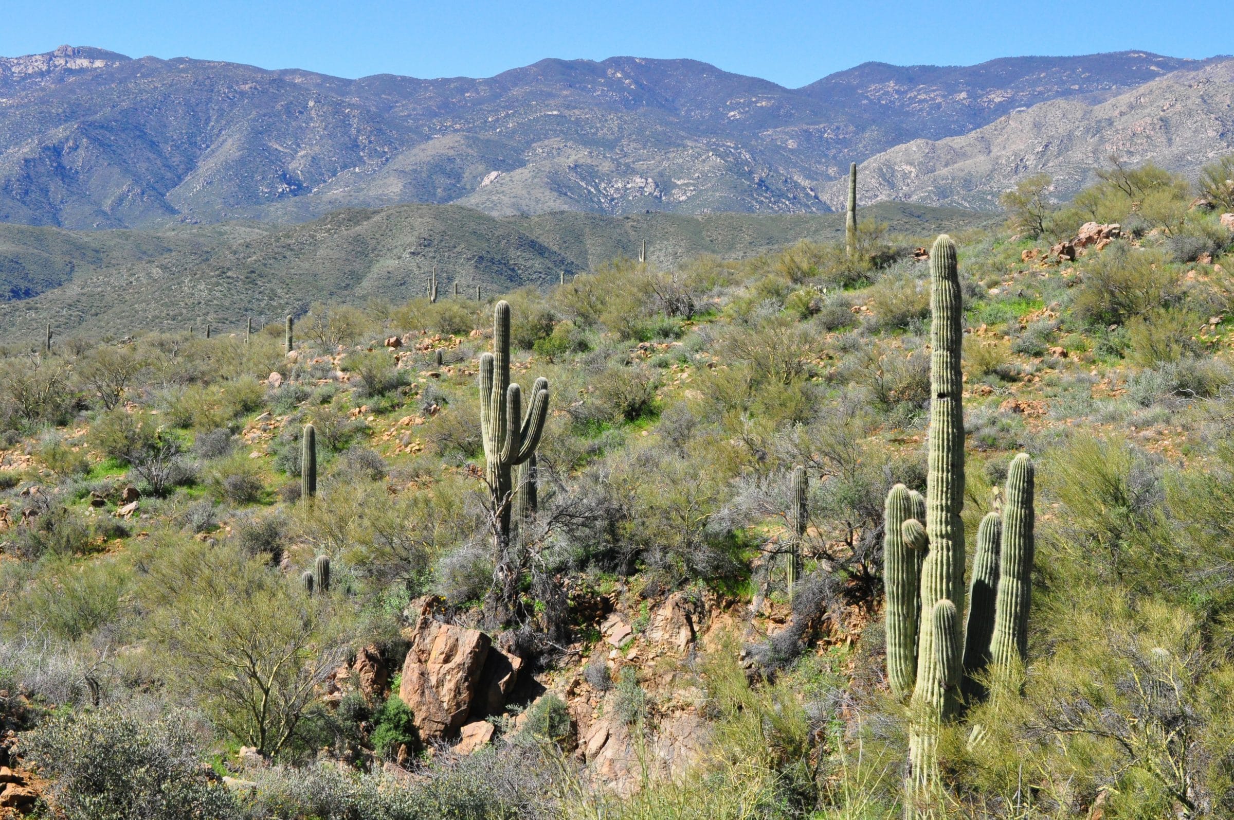 Useful Links | Colorado Plateau Cooperative Ecosystem Studies Unit