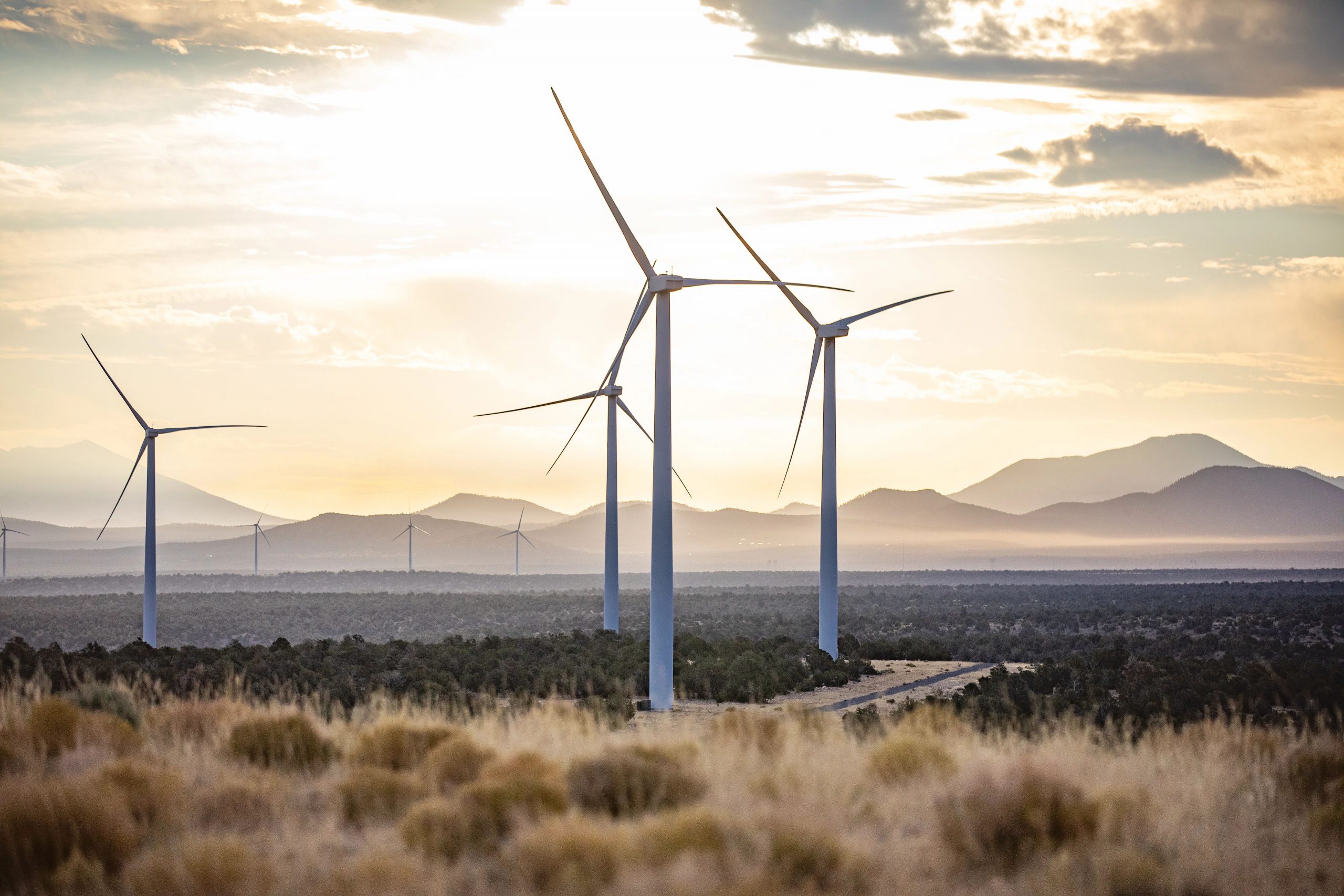 Decarbonize purchased electricity | Green NAU