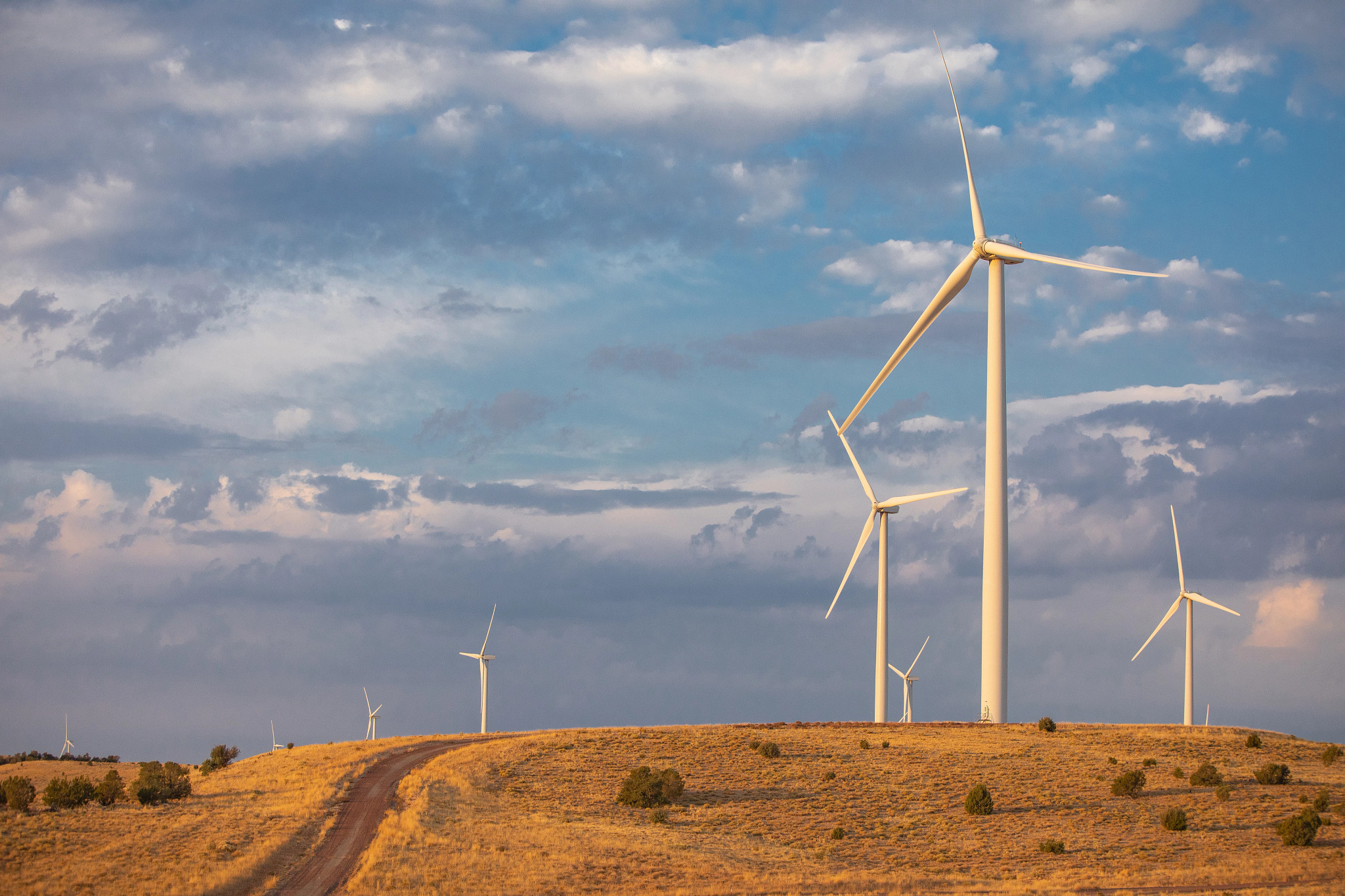 Proposal Submission Timelines | Office of Sponsored Projects