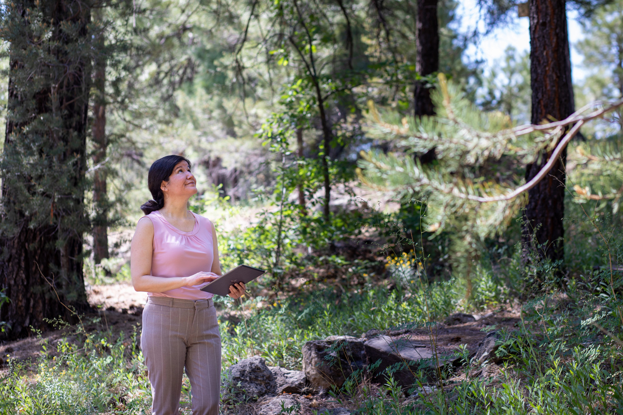 OSP Contact for CEFNS | Office of Sponsored Projects