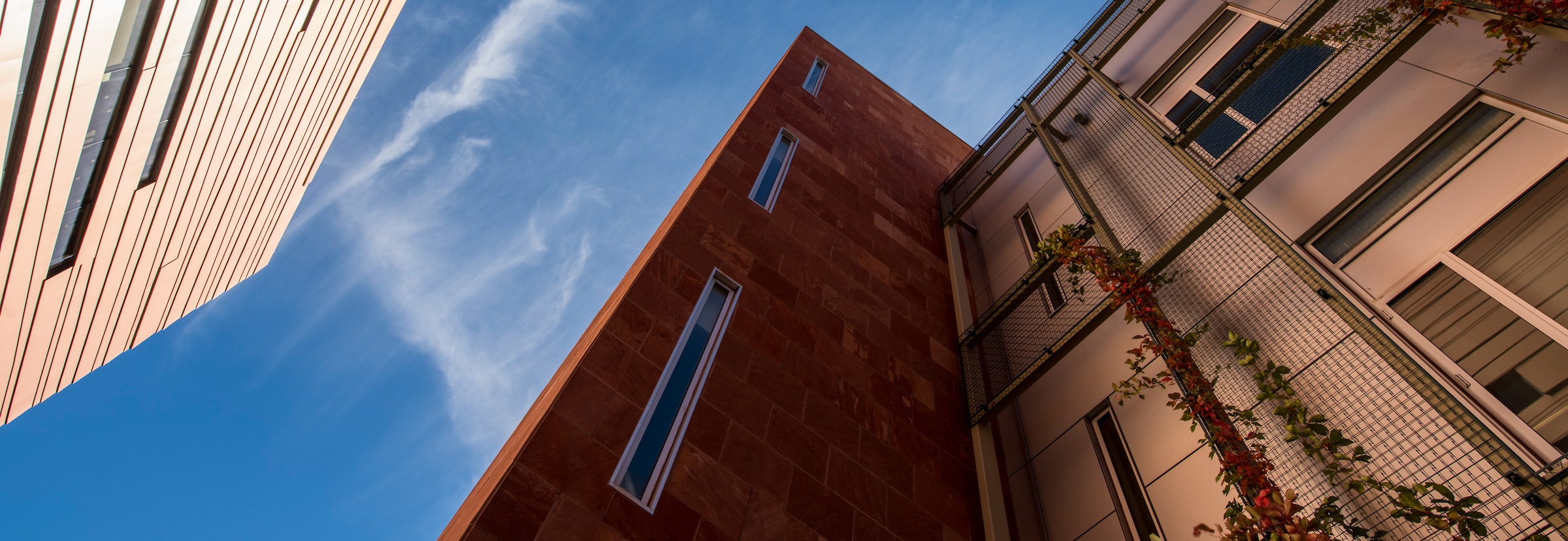 Academy Members | NAU Teaching Academy