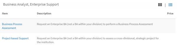 Enterprise Business Analysts | Information Technology Services