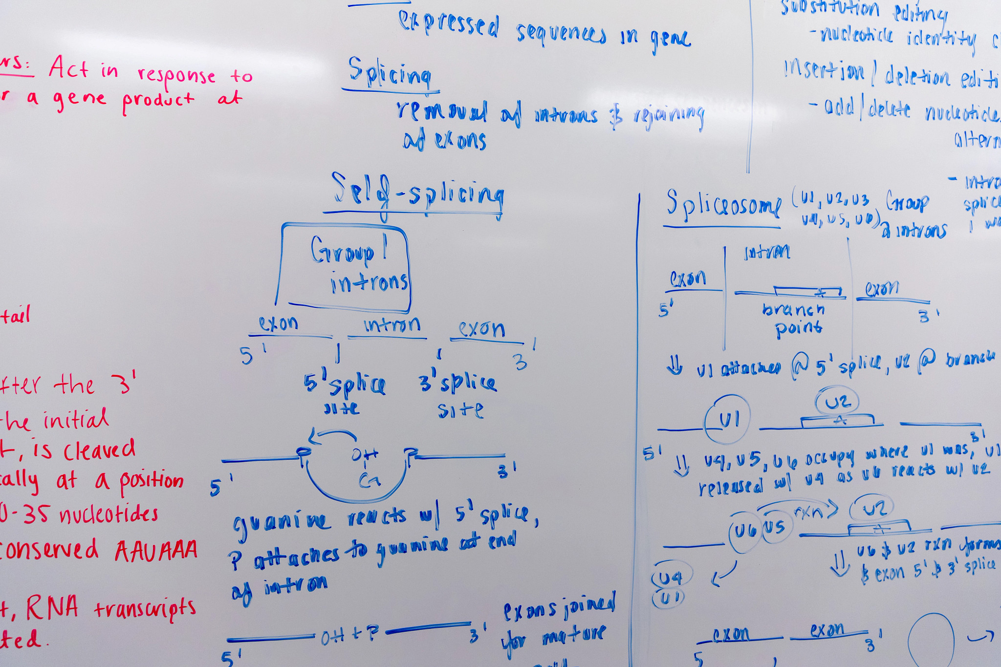 Classroom Support | Information Technology Services