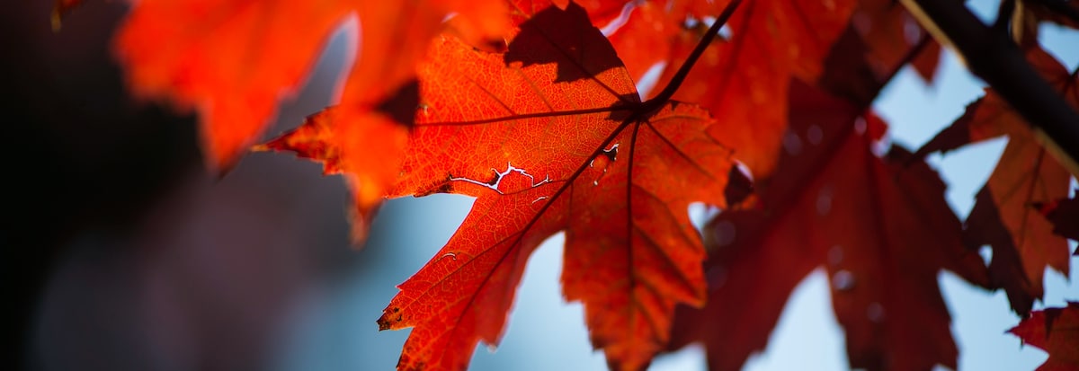 Testing accommodations - faculty | Disability Resources