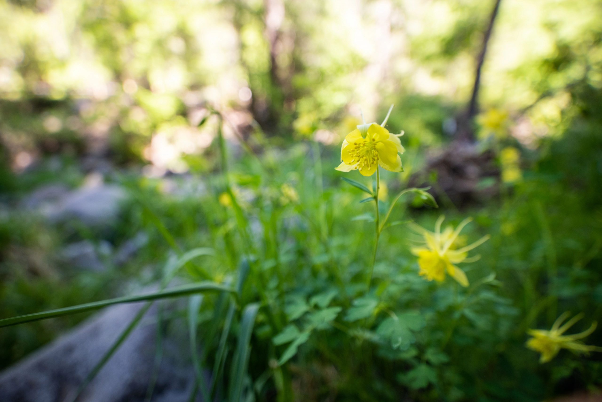 2024 NASWAC Cohort - Center for Native American Cancer Health Equity
