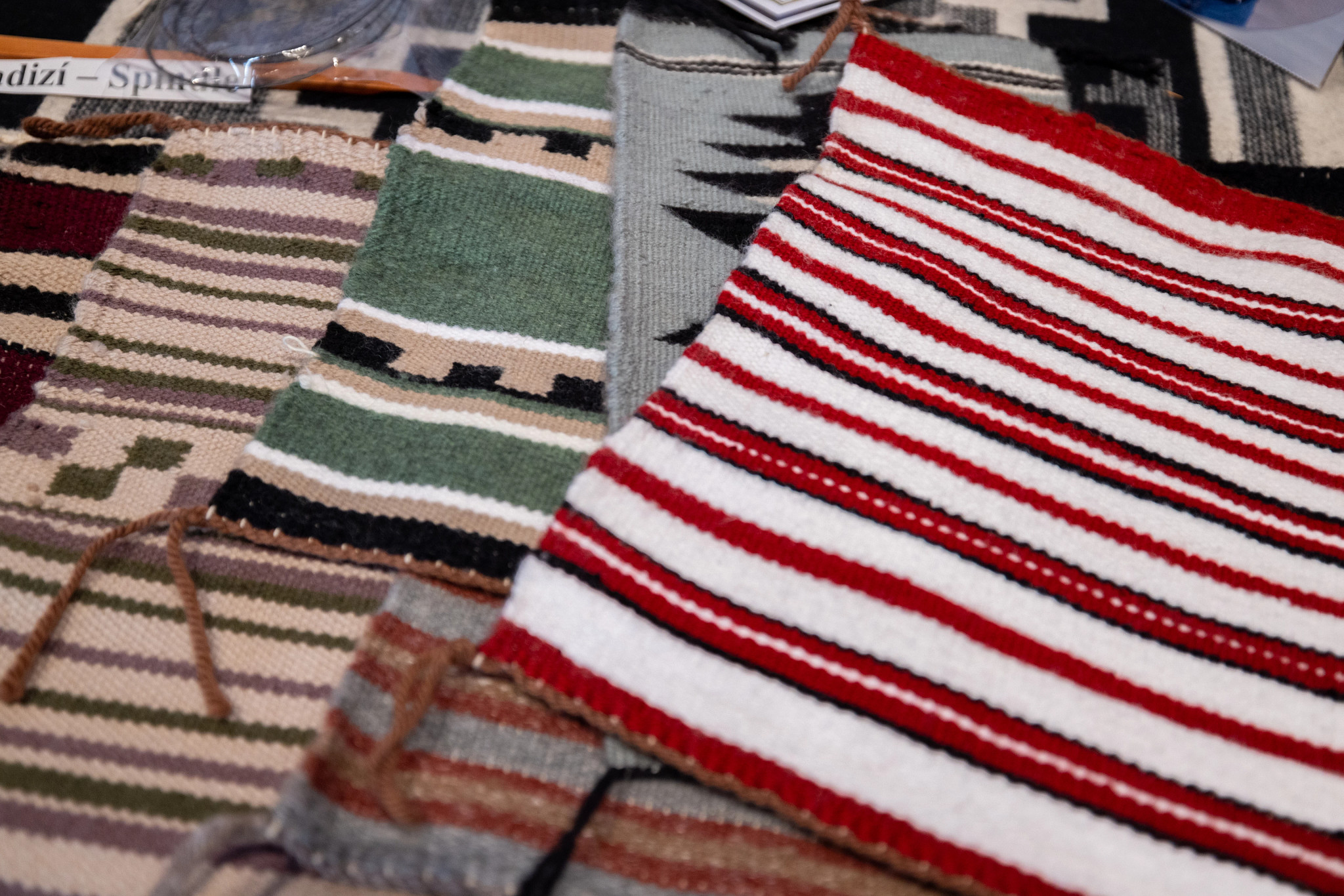 2025 NASWAC Cohort - Center for Native American Cancer Health Equity