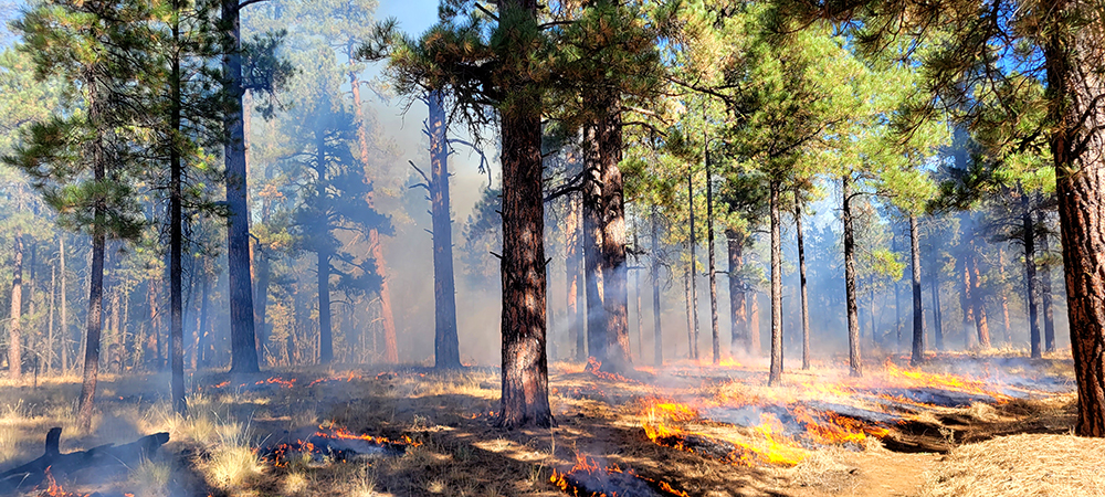 Preparing rural communities for climate change - The NAU Review