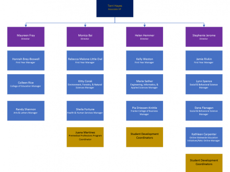 Organizational Chart | University Advising