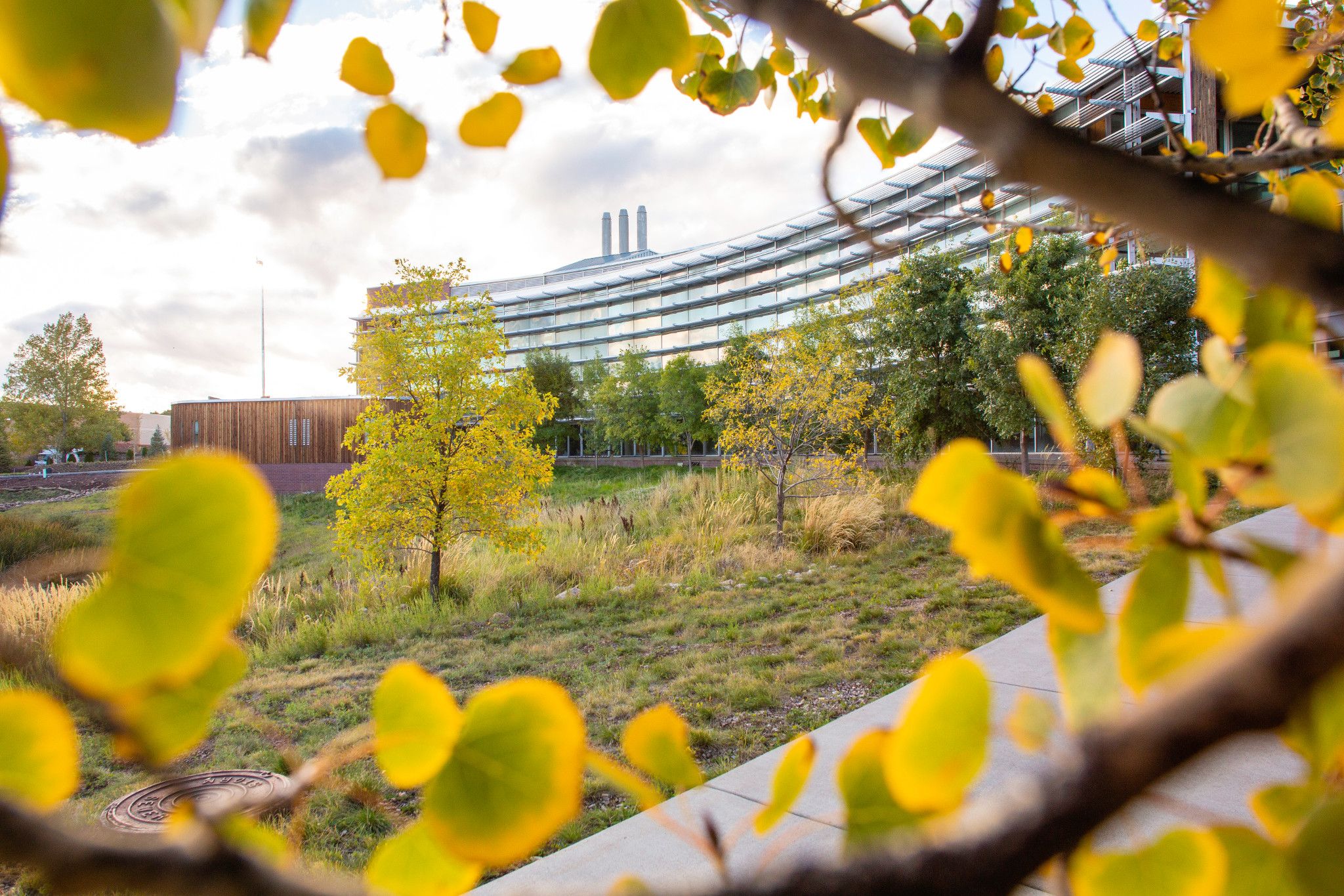 Primary Retirement Plan Comparison | Human Resources