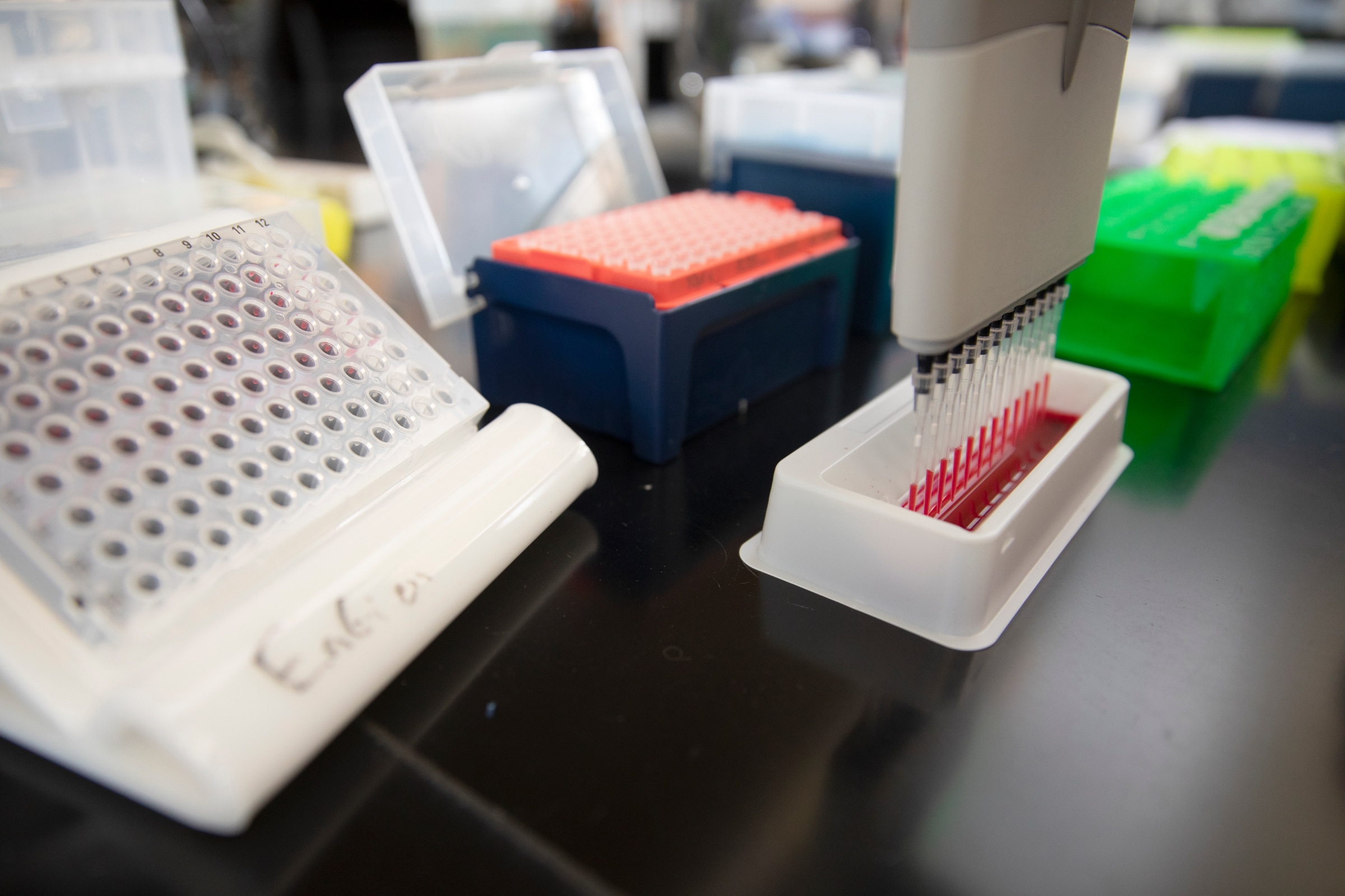 NAU Genetics Core Facility (GCF) | NAU Genetics Core Facility (GCF)