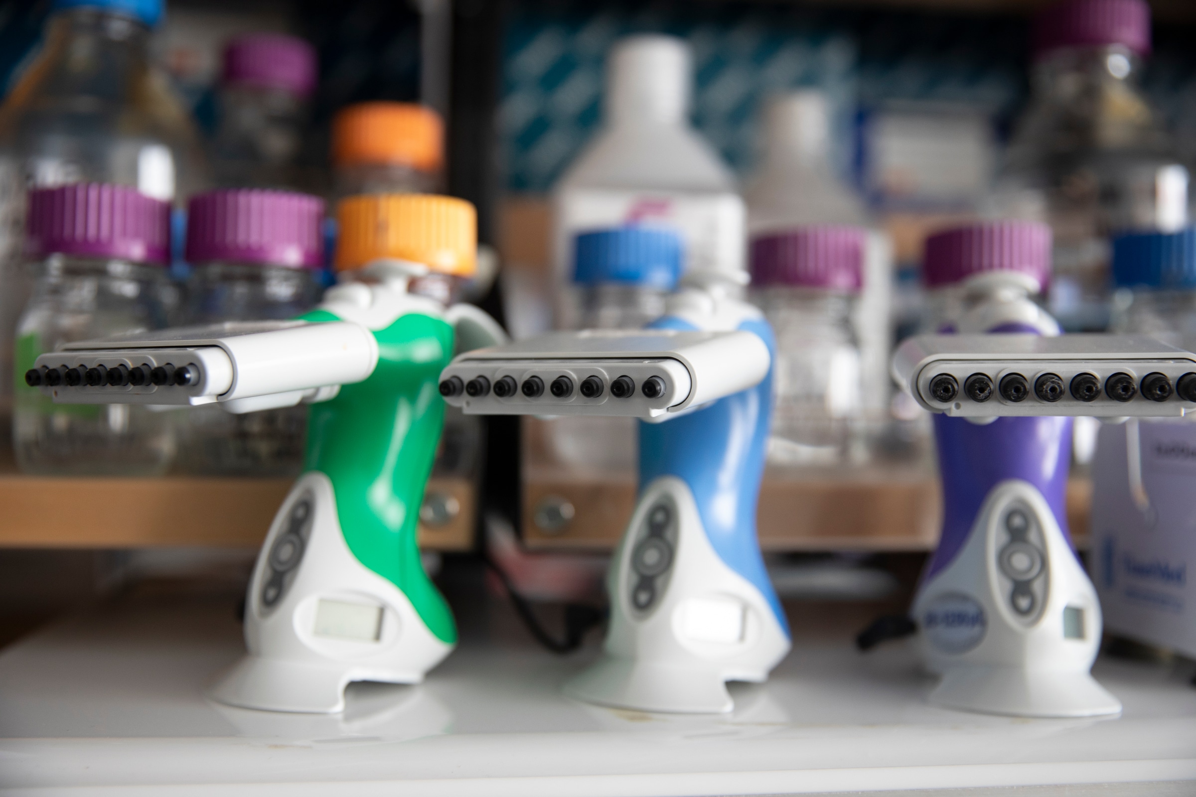 Instrumentation and facilities | NAU Genetics Core Facility (GCF)