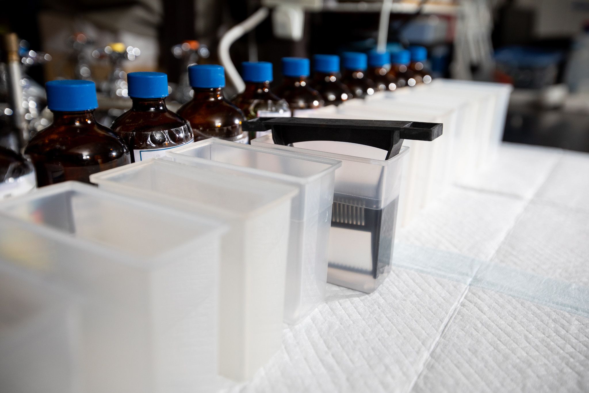 Histology rates | Imaging Histology Core Facility